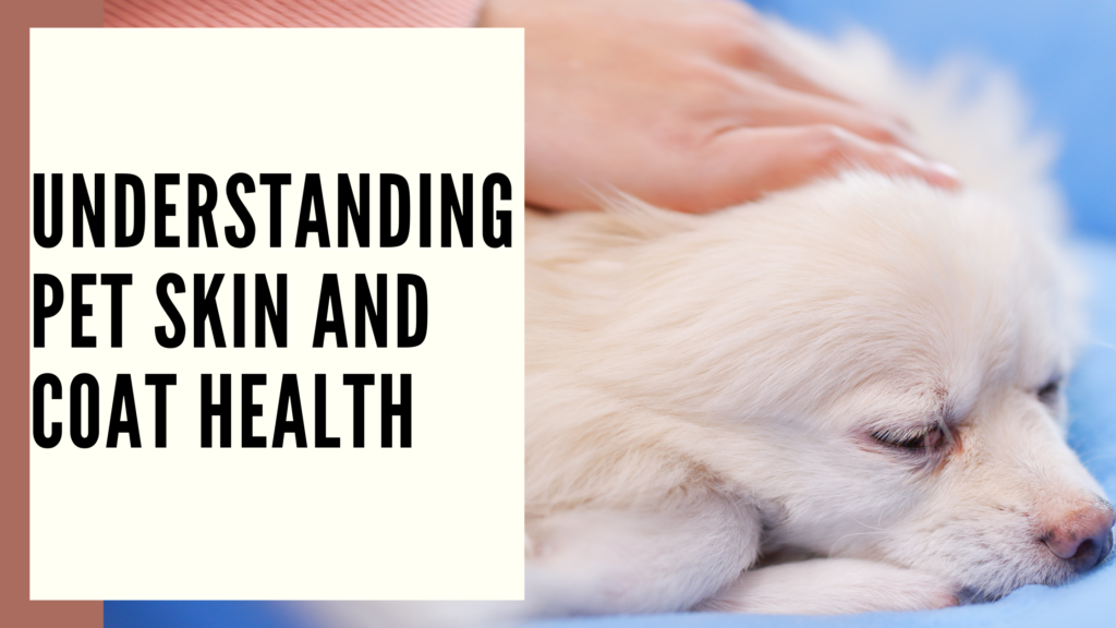 A Happy Pet Starts with Healthy Skin and Coat