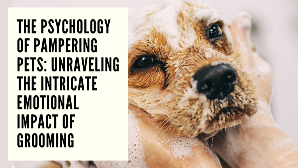 Unveiling the Emotional Impact of Pet Grooming