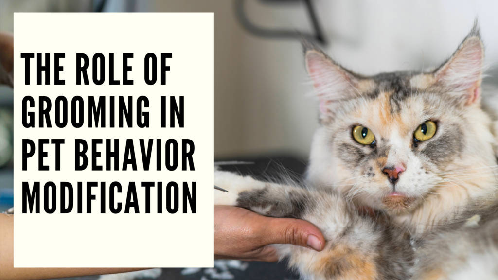 Mastering Pet Behavior: Grooming as a Key to Harmony