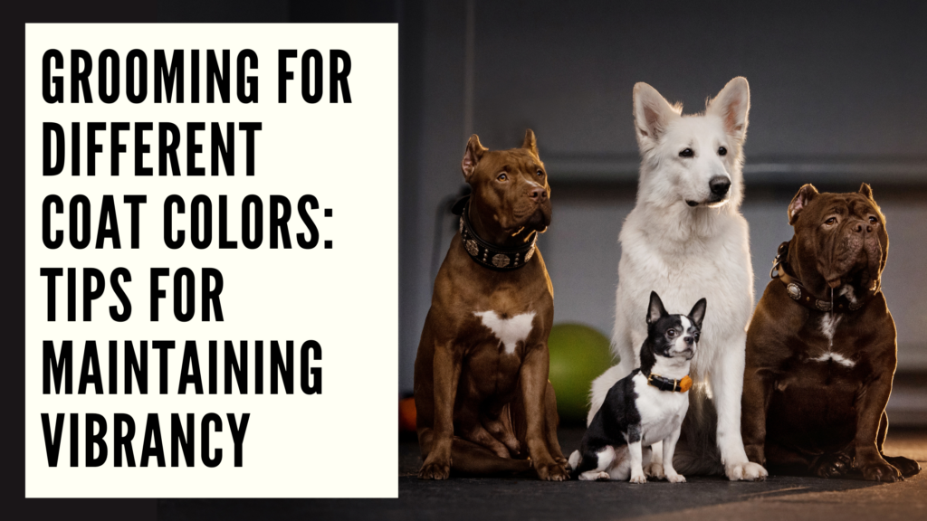 Vibrant Coats, Happy Pets: Mastering Grooming for Every Color Palette