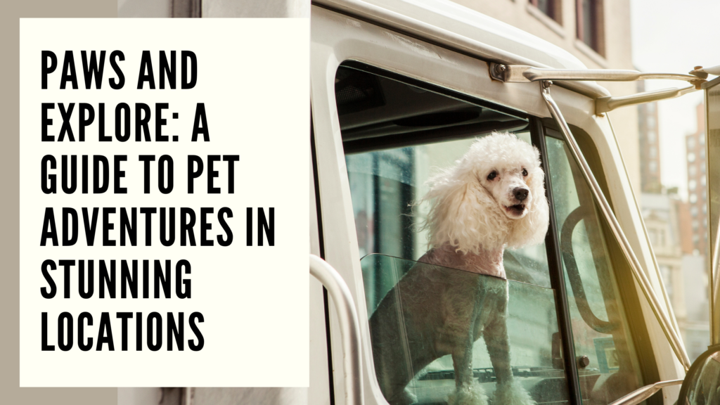 Paws and Explore: A Guide to Pet Adventures in Stunning Locations