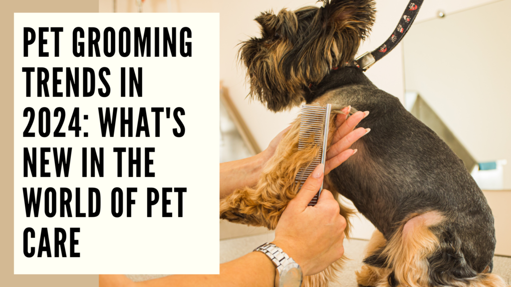 Paw-sitively Modern: Navigating Pet Grooming Trends in 2024