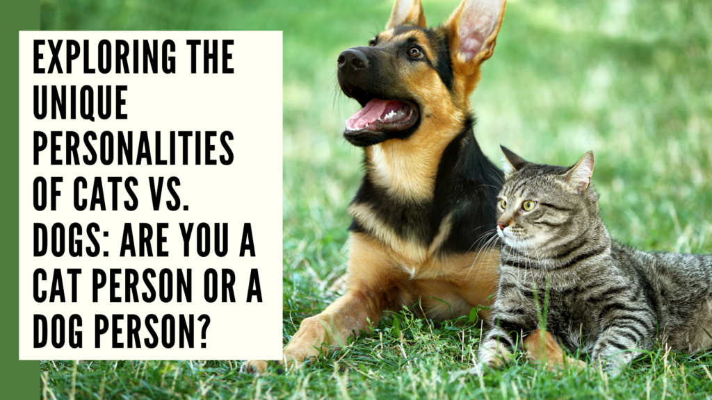 Cat Person vs. Dog Person: Exploring Furry Personalities