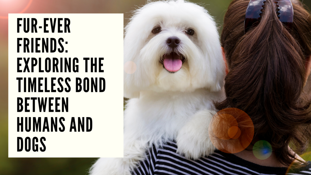 Man's Best Friend: The Enduring Connection Between Humans and Dogs