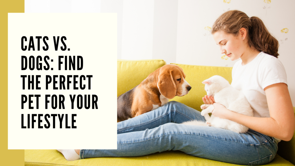 Cats vs. Dogs: Which Pet Suits Your Lifestyle Best?