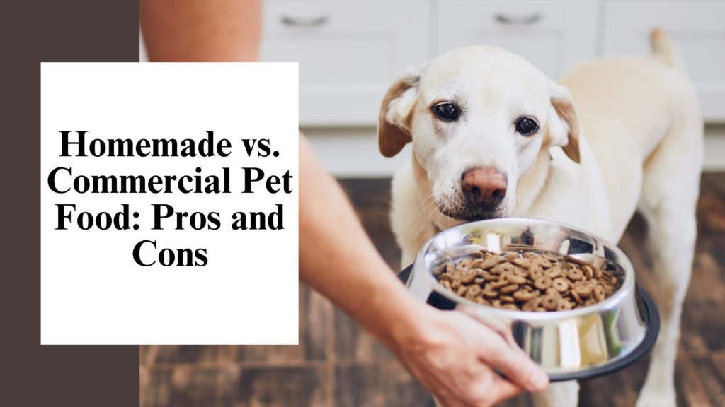 Homemade vs. Commercial Pet Food: Pros and Cons