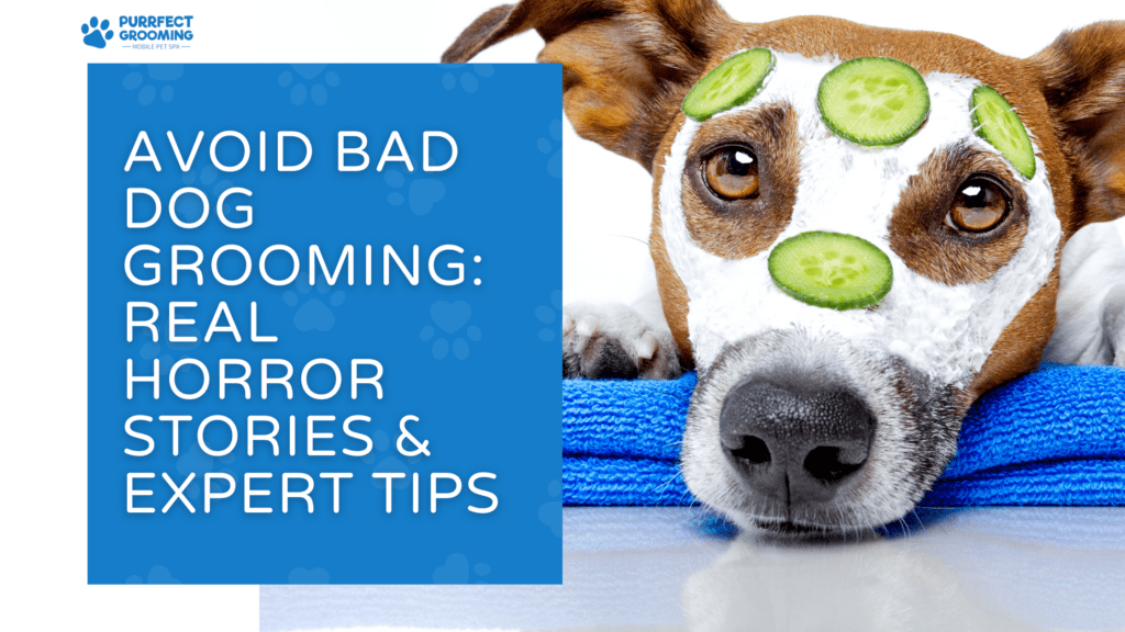 Avoid Bad Dog Grooming: Real Stories & Expert Tips
