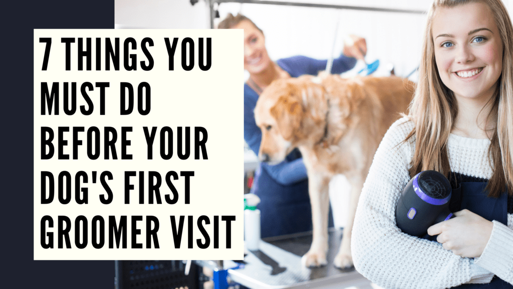 7 Essential Tips Before Your Dog’s First Groomer Visit