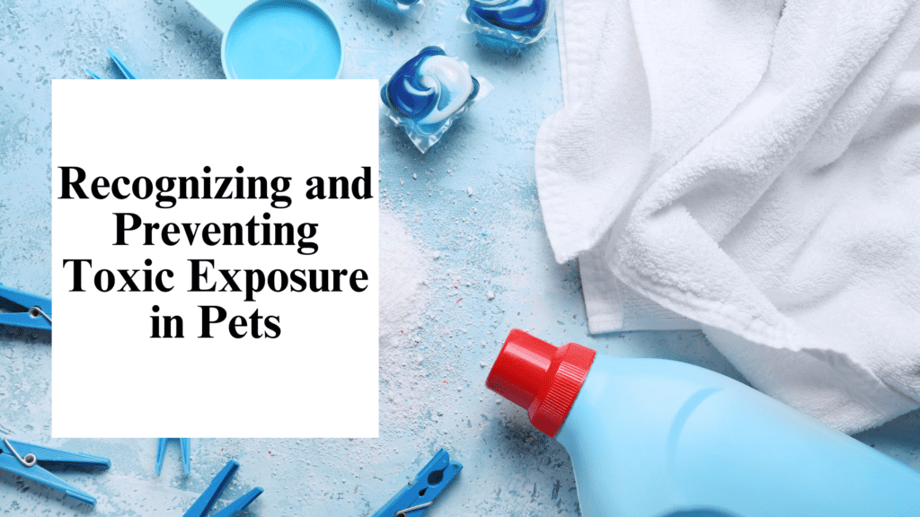 Toxic Exposure in Pets: Warning Signs and Prevention Tips