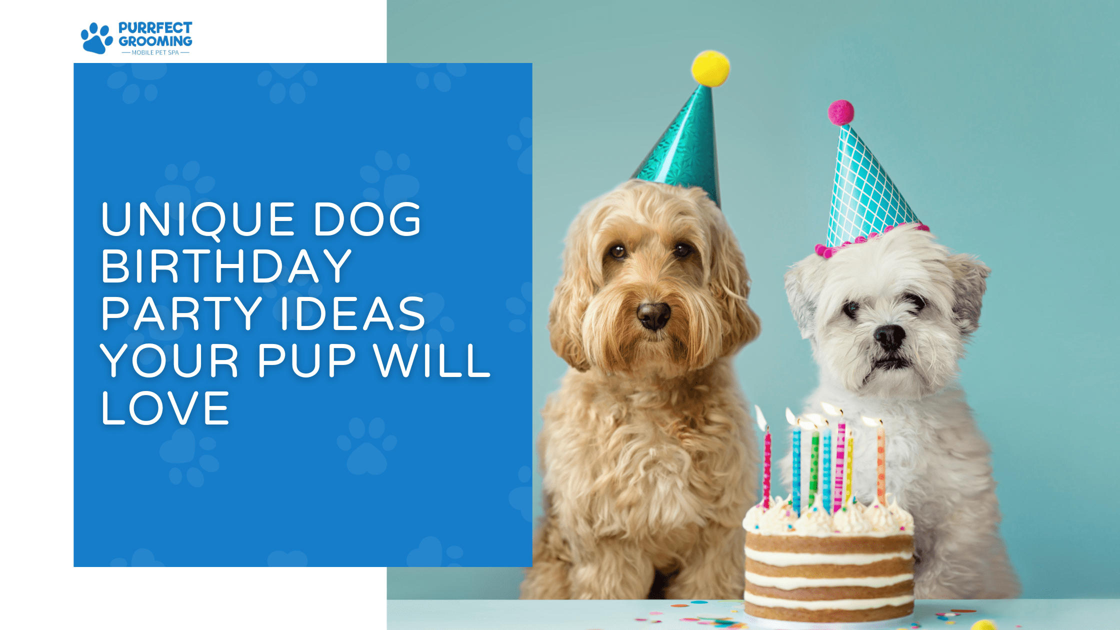 10+ Unique Dog Birthday Party Ideas Your Pup Will Love