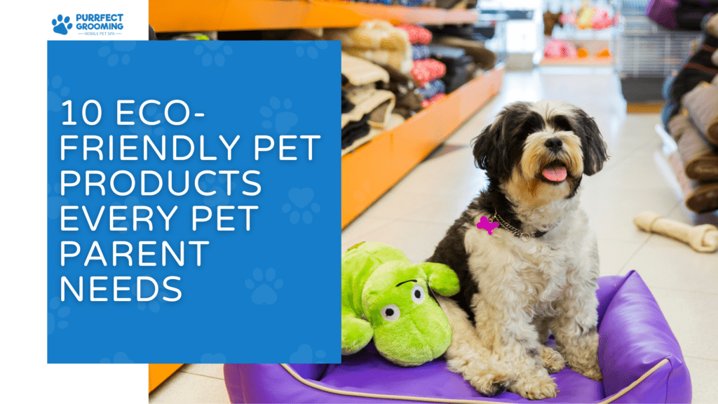 10 Eco-Friendly Pet Products Every Pet Parent Needs