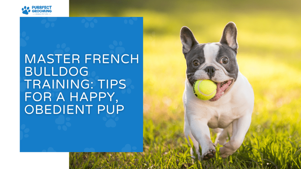 Master French Bulldog Training: Tips for a Happy, Obedient Pup