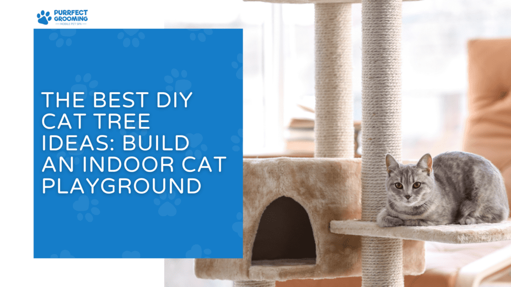 The Best DIY Cat Tree Ideas: Build an Indoor Cat Playground