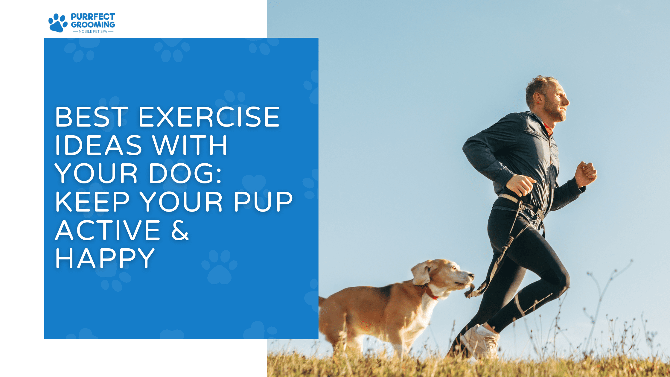 Best Exercise Ideas With Dog: Keep Your Pup Active & Happy!