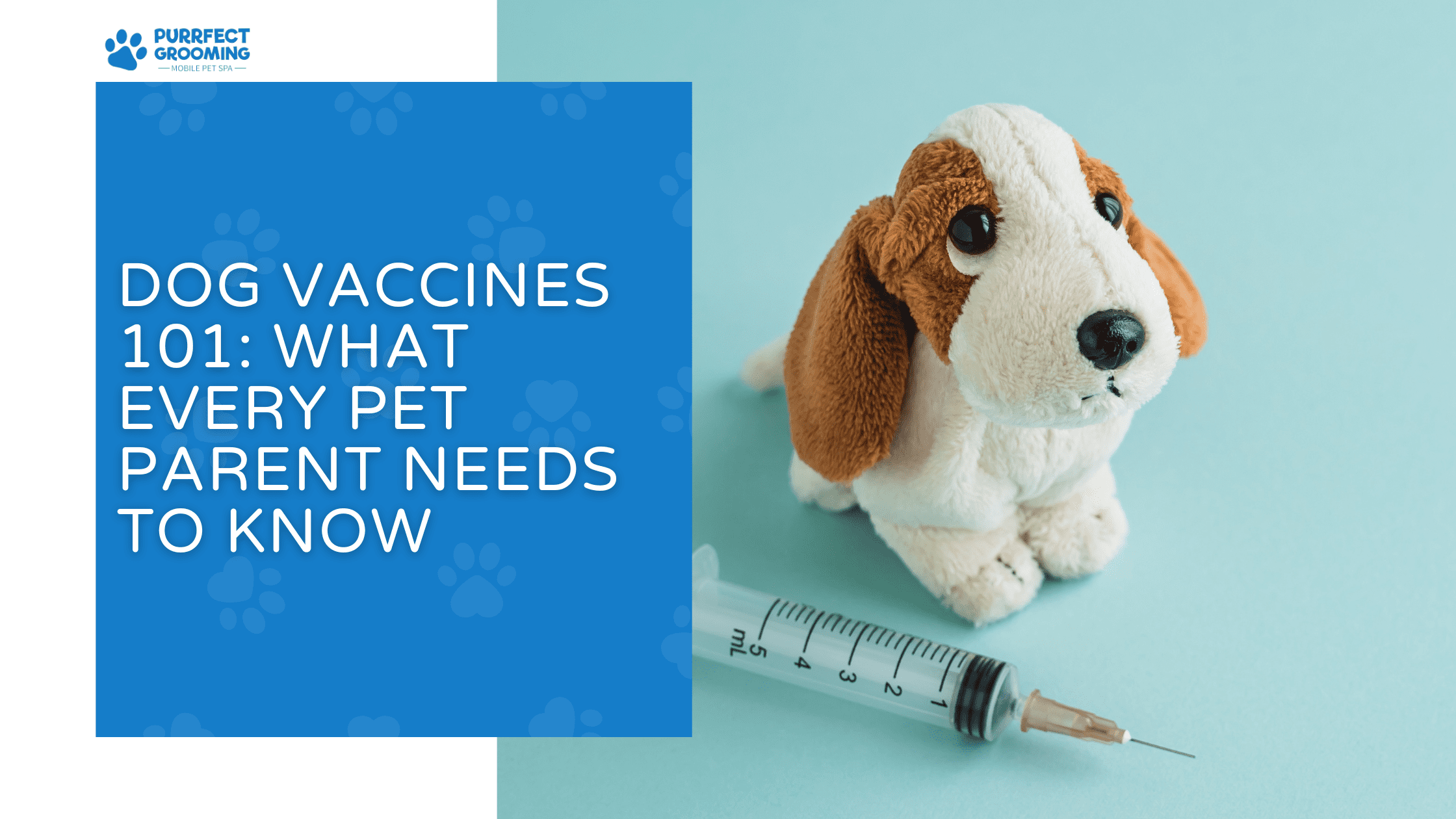 Dog Vaccines 101: What Every Pet Parent Needs to Know