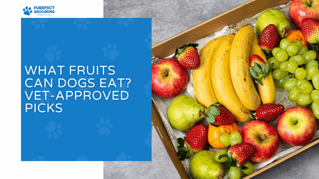 What Fruits Can Dogs Eat? 21 Vet-Approved Picks